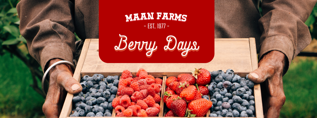 Estate Winery - Maan Farms Country Experience